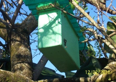 Barrel Top Bar Hive - beevac.com