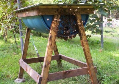 Barrel Top Bar Hive - beevac.com